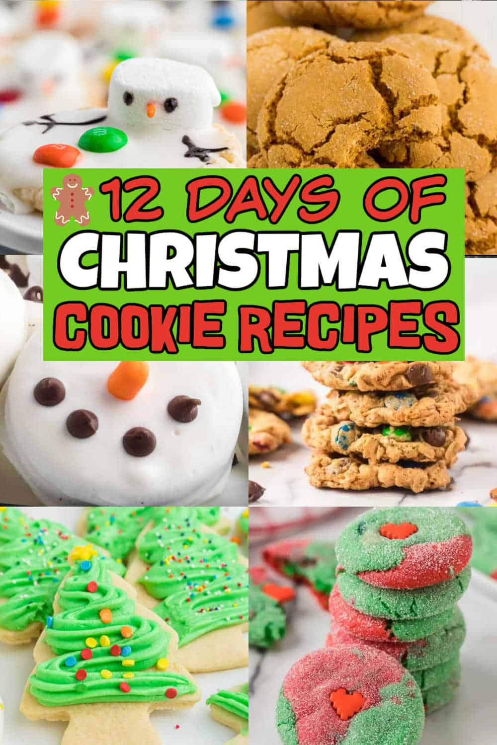 12 Days of Christmas Cookies - christmasonadime.com