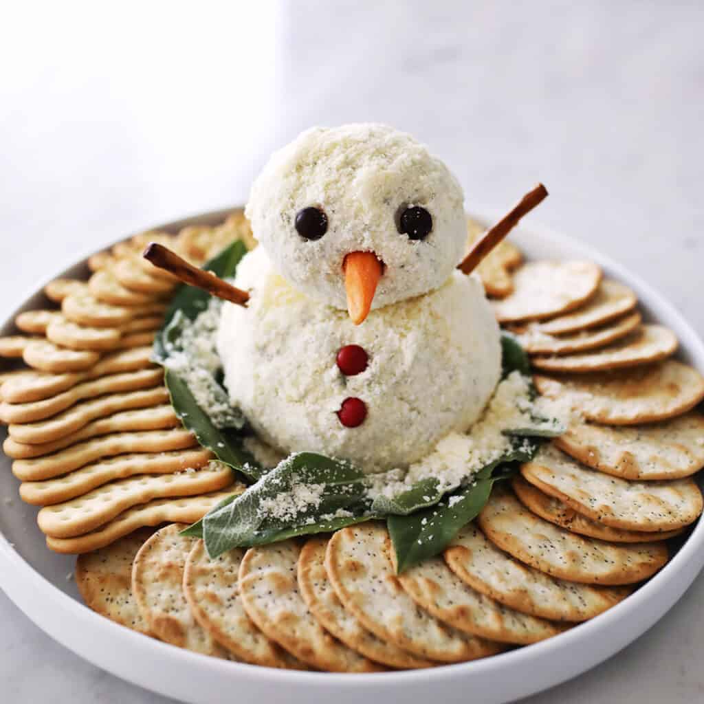 45 Christmas Cheese Ball Recipes - christmasonadime.com