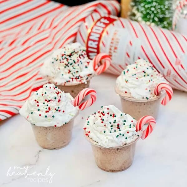 61 Festive Christmas Shots - christmasonadime.com