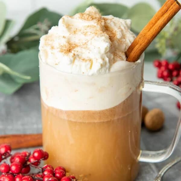 55 Christmas Cocktails - christmasonadime.com