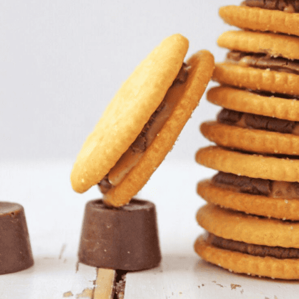 45 Delicious Rolo Desserts - christmasonadime.com