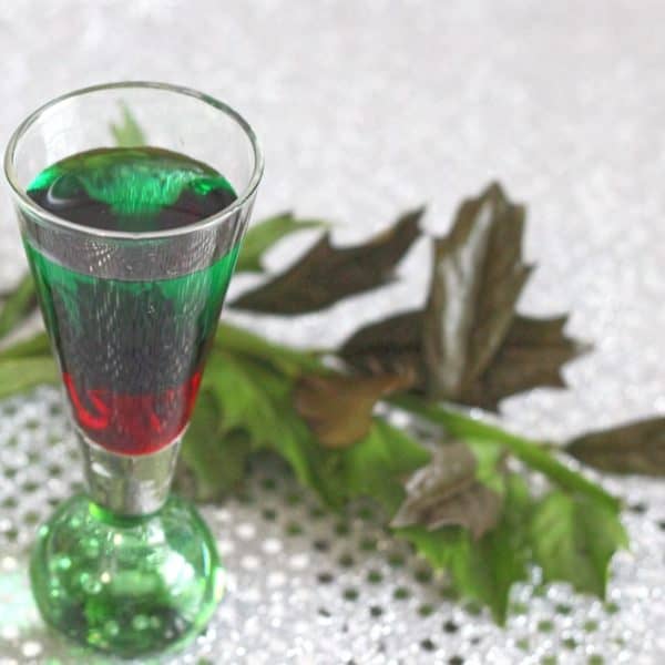 61 Festive Christmas Shots - christmasonadime.com
