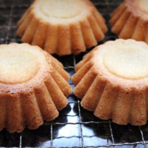 24 Norwegian Christmas Cookies - christmasonadime.com